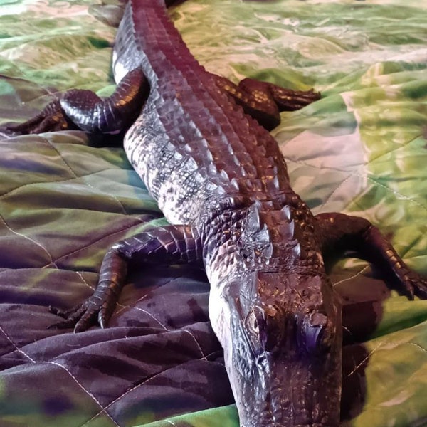 Alligator Figurine - Etsy