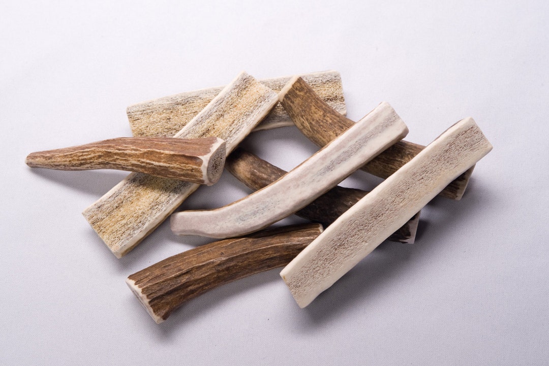 Antler Chew Puppy Pack - Etsy