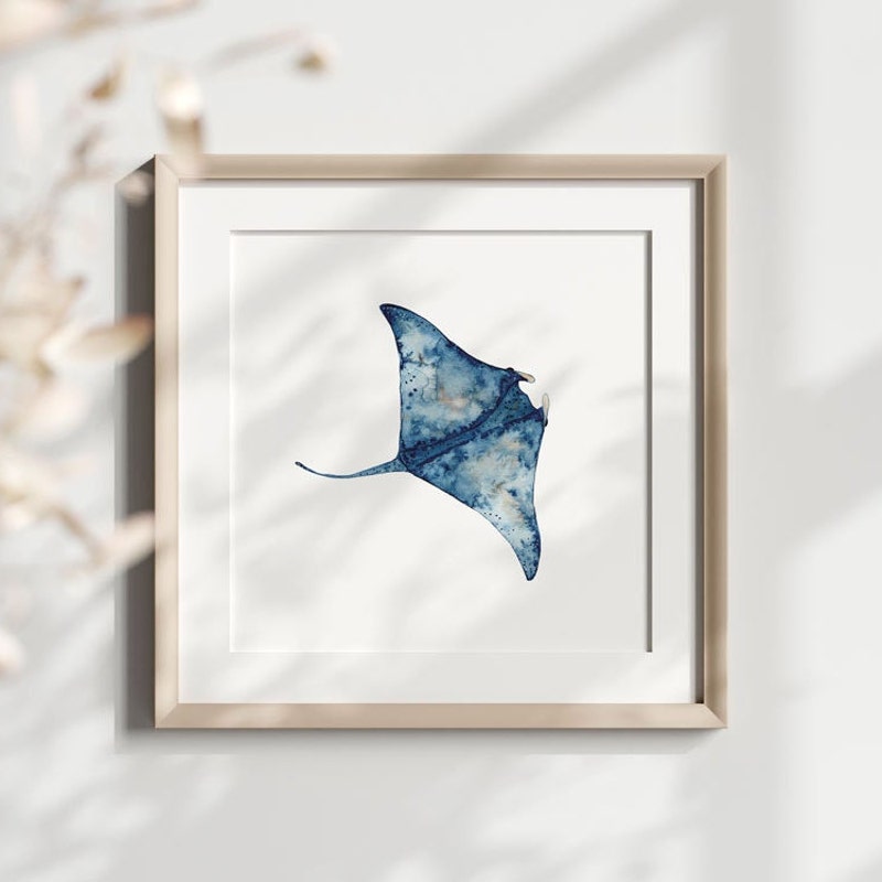 Manta Ray Abstract - Etsy