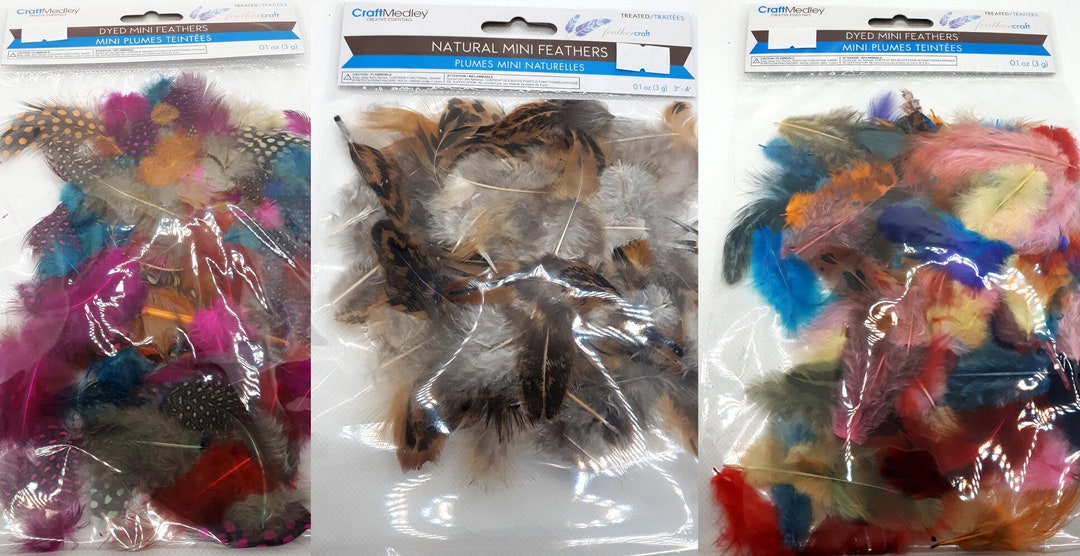 Dyed Mini Feathers for Crafts- Multiple Styles Available! - Natural and ...