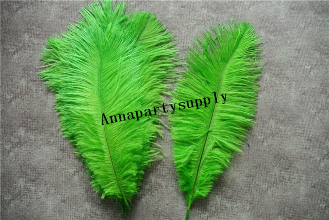 100 Pcs Lime Green Ostrich Feather Plume for Wedding Party - Etsy