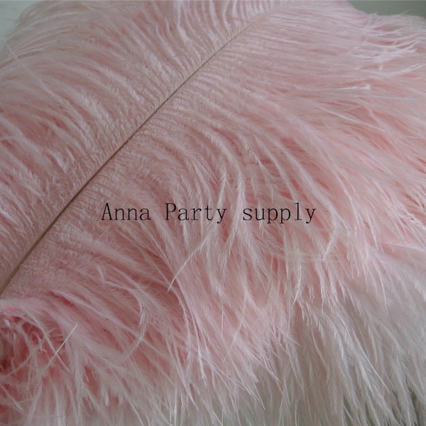 Light Pink Feather - Etsy