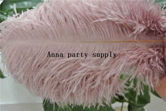Blush Pink Ostrich Feather Plume Etsy UK