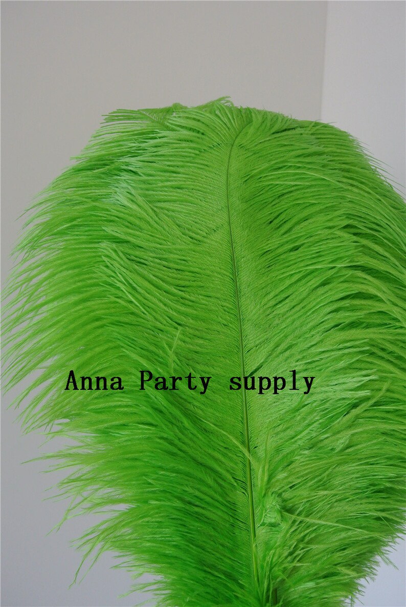 100 Pcs Lime Green Ostrich Feather Plume for Wedding Party | Etsy