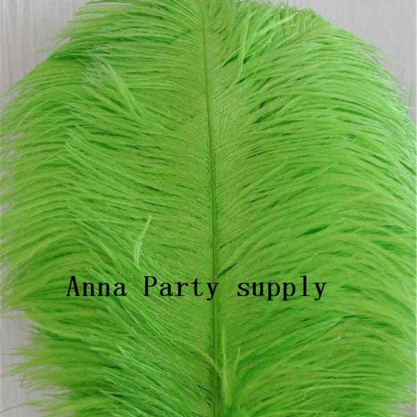 Lime Green Feathers - Etsy