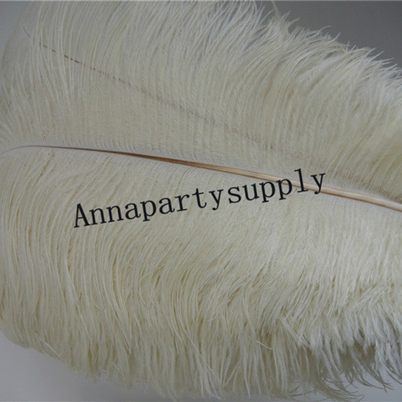 Cream Ostrich Feather - Etsy