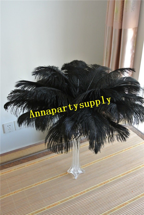 100 black ostrich feathers store