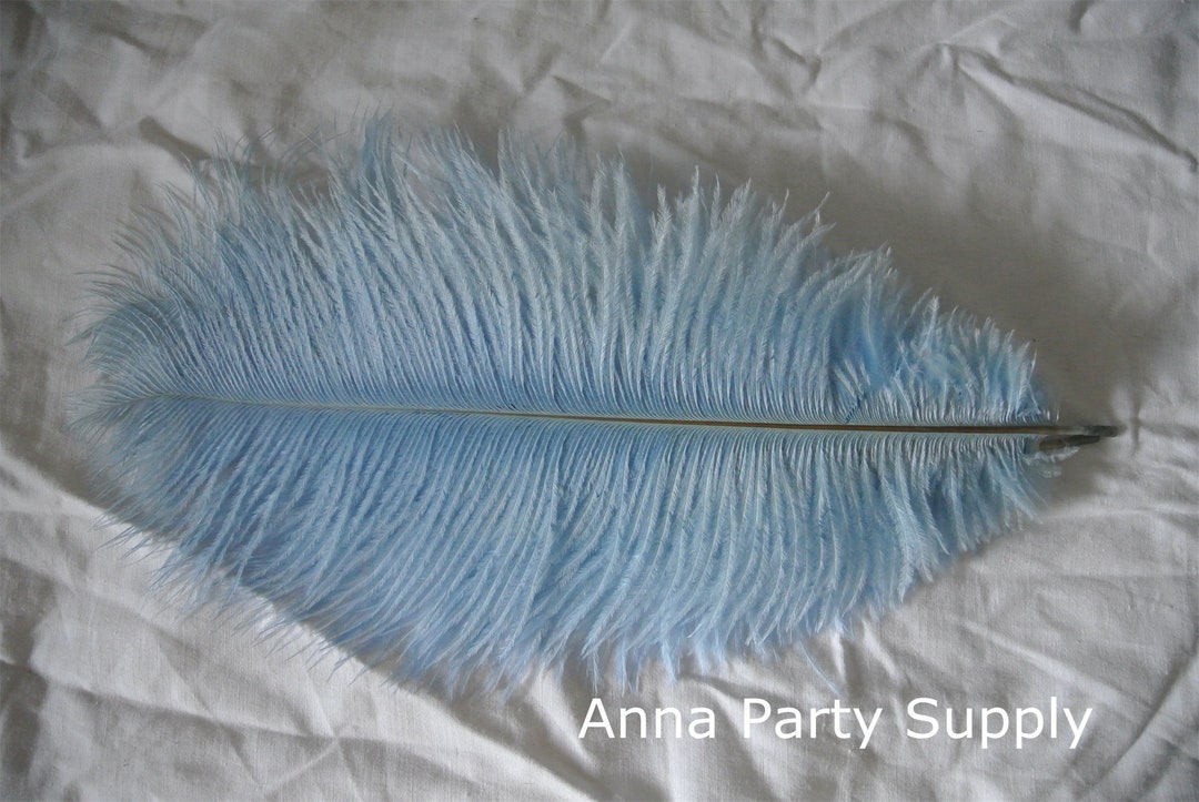 200 Pcs Light Blue Baby Blue Ostrich Feather Plume for Wedding Party ...