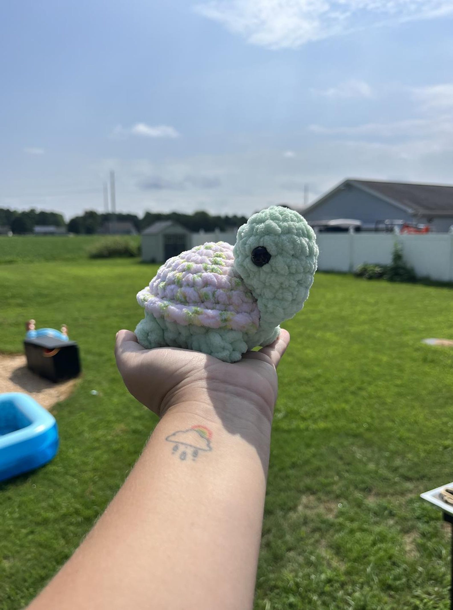 Hand-crocheted Mini Land Turtle Plushie - Etsy