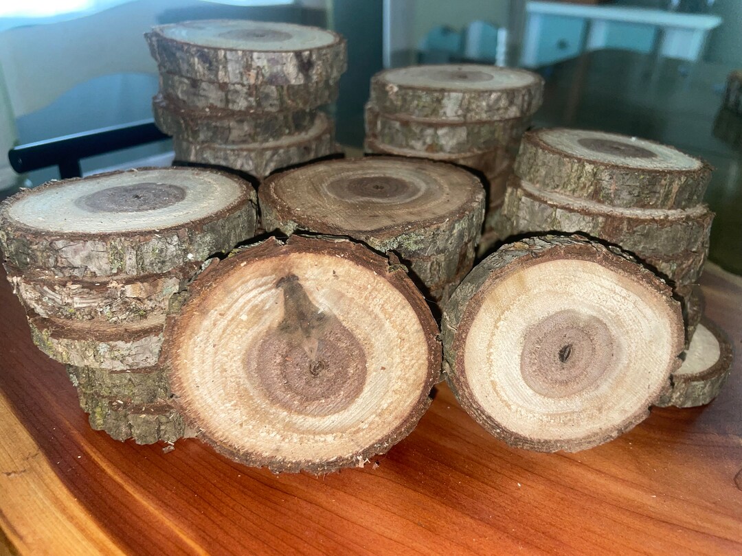 Walnut Tree Rounds/arts and Crafts/woodworking/tree Rounds/33 Pieces ...
