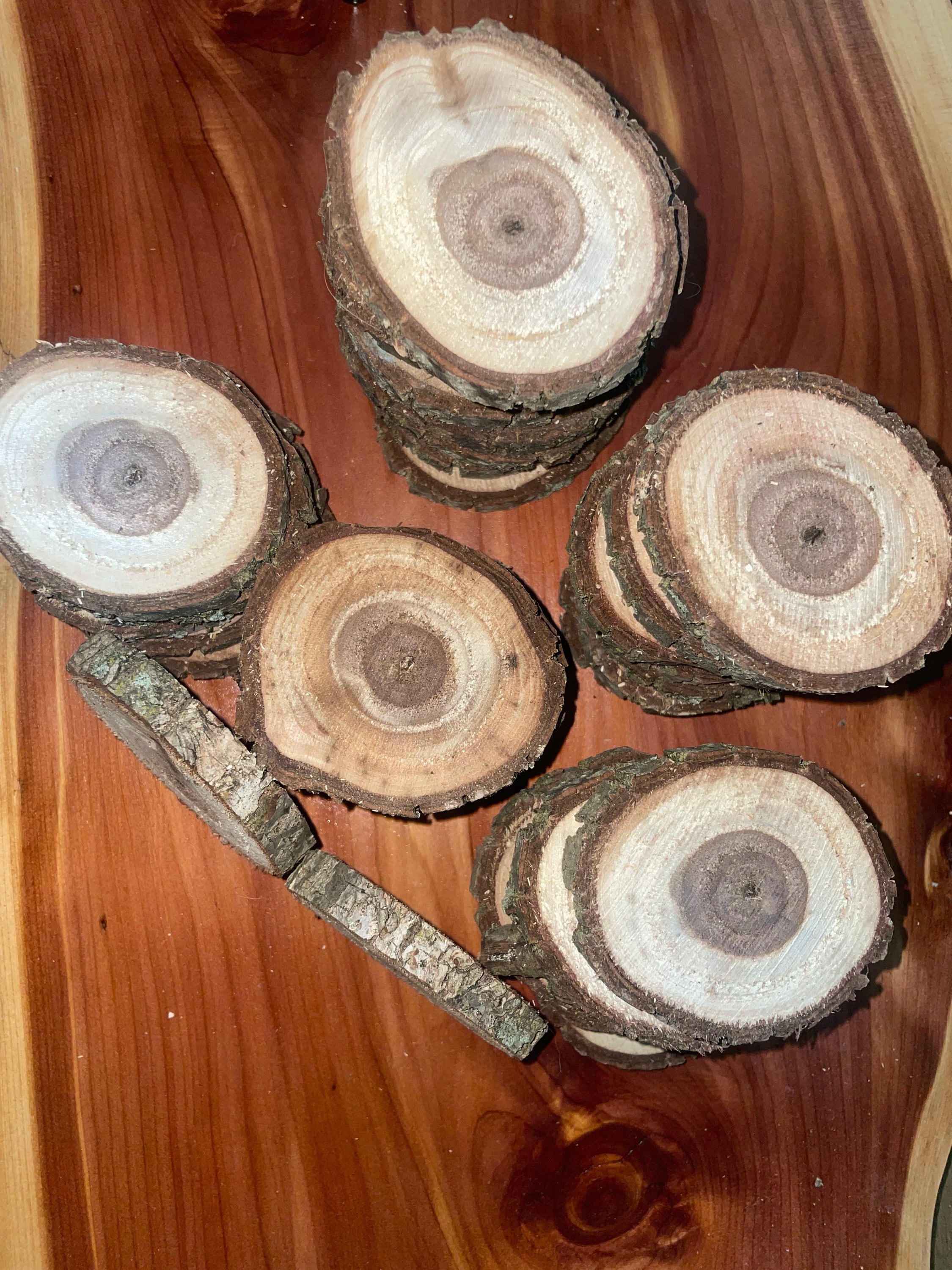Walnut Tree Rounds/arts and Crafts/woodworking/tree Rounds/33 Pieces ...