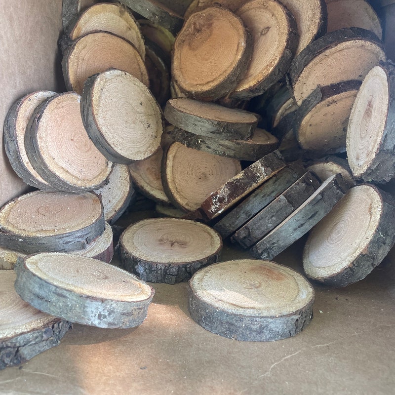 Tree Slices - Etsy