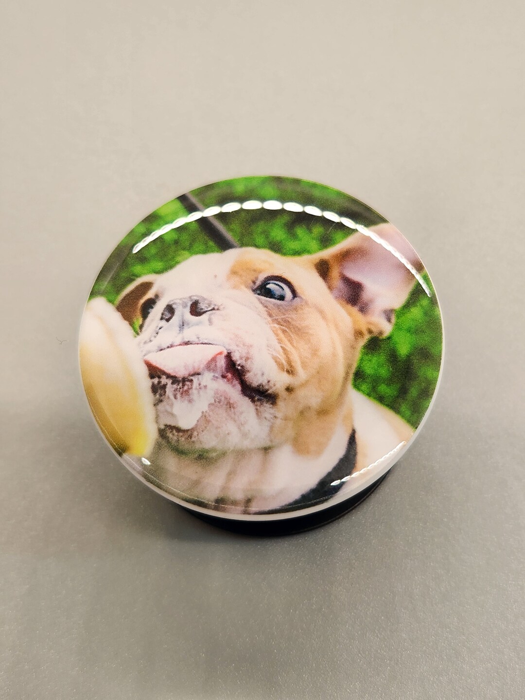 English Bulldog Puppy Eating Ice Cream Phone Grip Pop-up Accordion ...