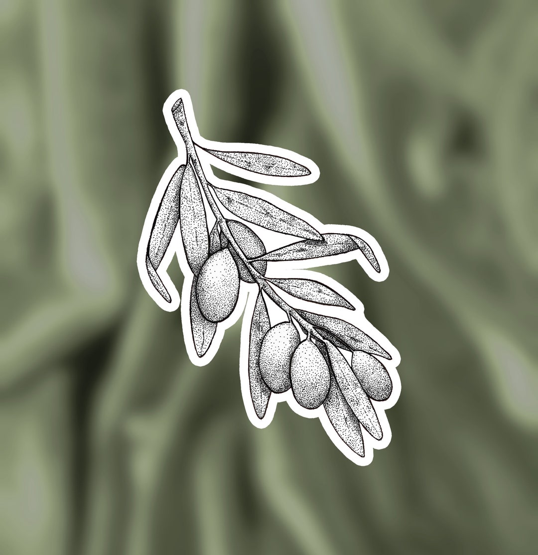 Olive Branch Sticker | Olive Sticker | Laptop Sticker | Water Bottle ...