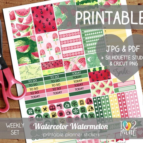 Erin Condren Planner Stickers Printable Summer Holiday | Etsy