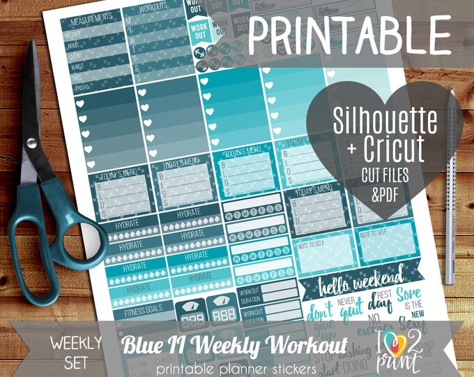 Blue 2 Fitness Weekly Printable Planner Stickers, Erin Condren Planner ...