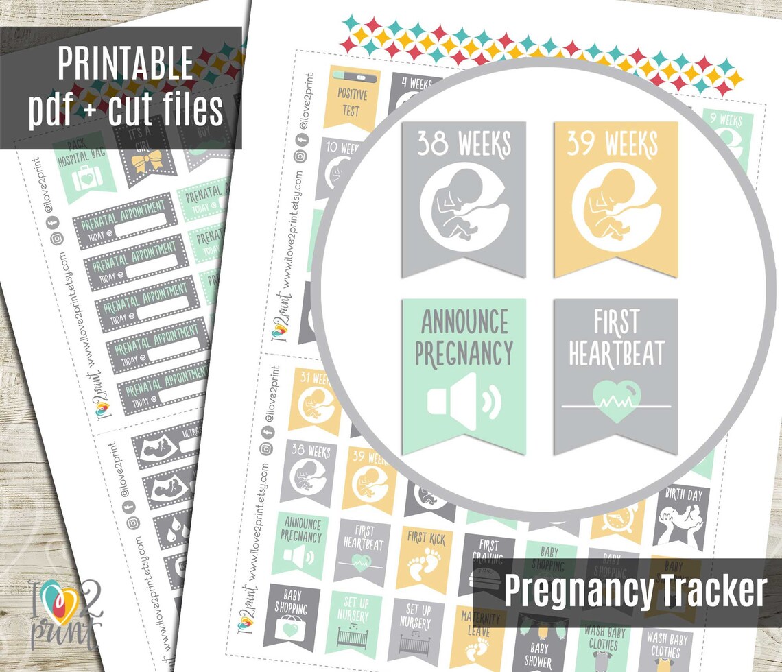 Pregnancy Tracker Printable Planner Stickers Erin Condren HP | Etsy