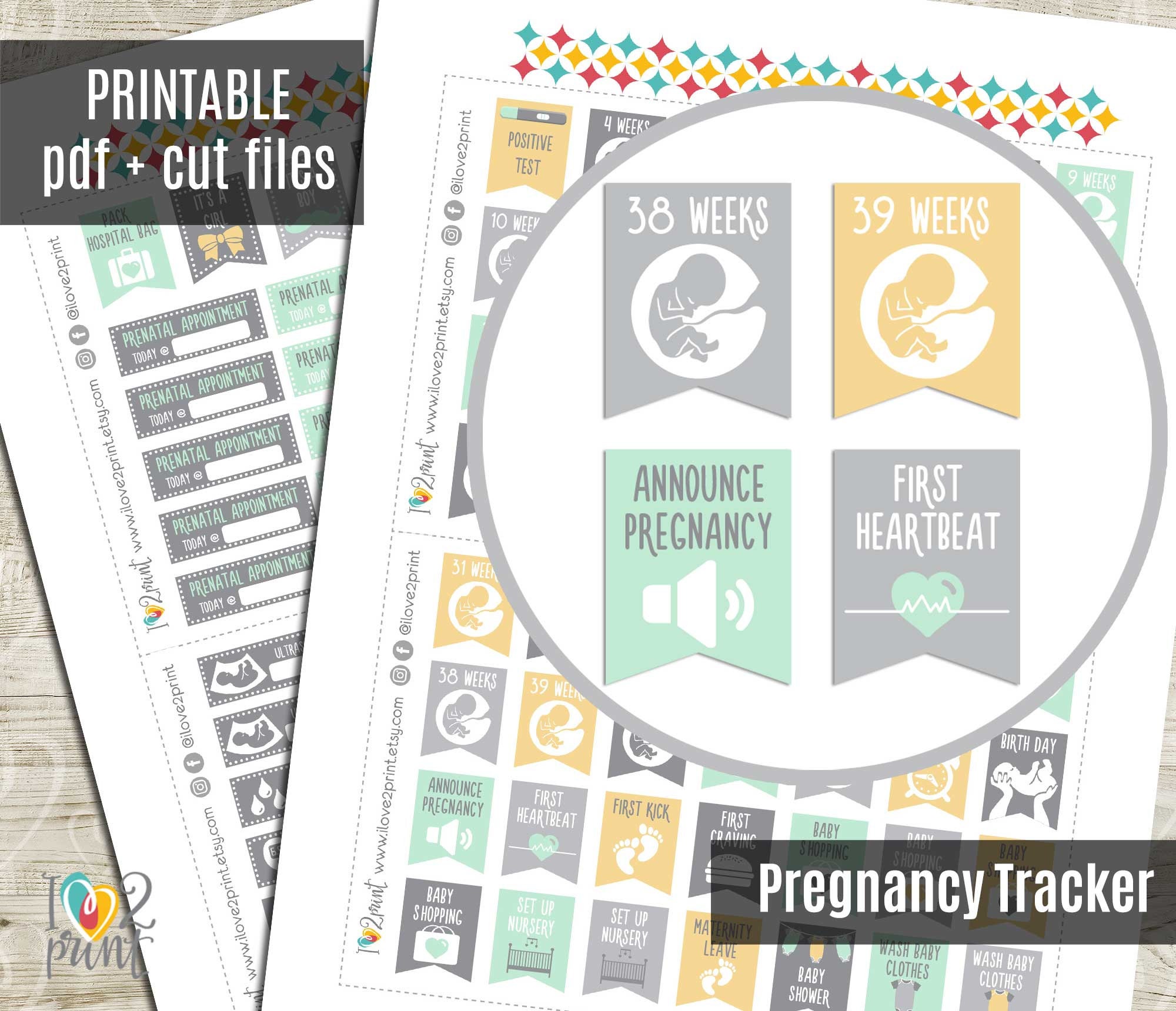Pregnancy Tracker Printable Planner Stickers Erin Condren HP | Etsy