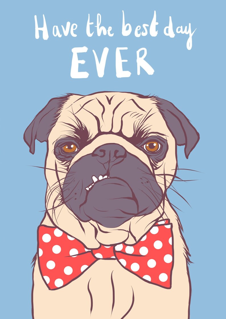Grumpy Pug A6 Greetings Card Best Day EVER Happy Birthday Cute Funny ...