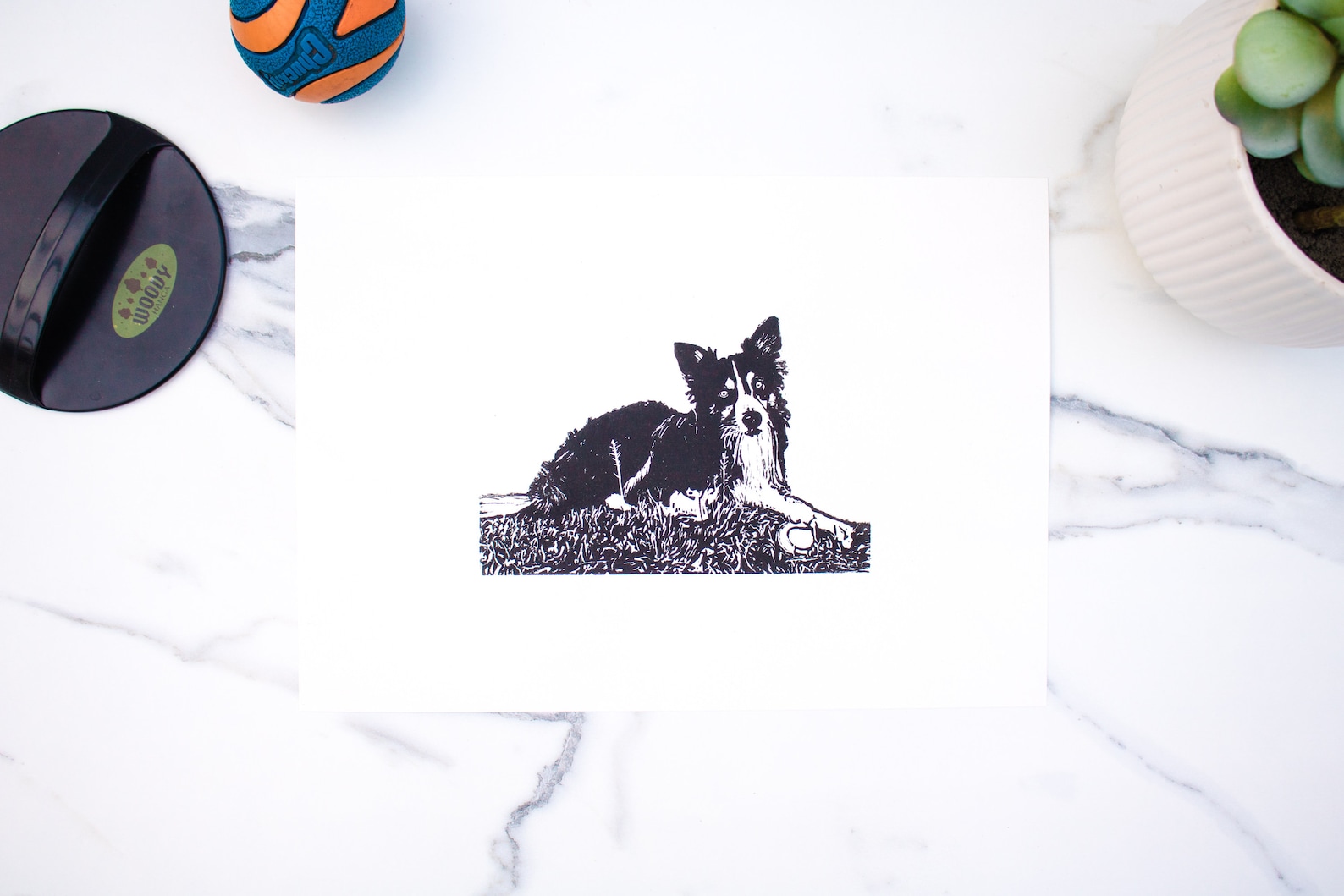 Tri Border Collie Lover Lino Print With Tennis Ball Linocut Dog Art Dog ...