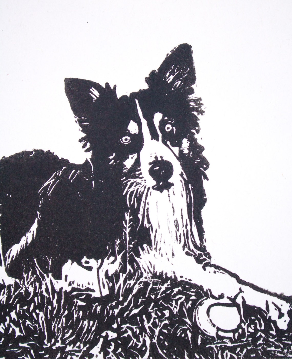 Tri Border Collie Lover Lino Print With Tennis Ball | Linocut Dog Art ...