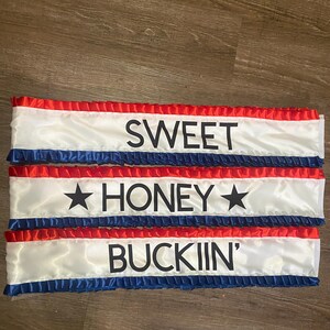 Cowboy Carter Inspired Sash, Red White Blue Sash, Song Titles ...