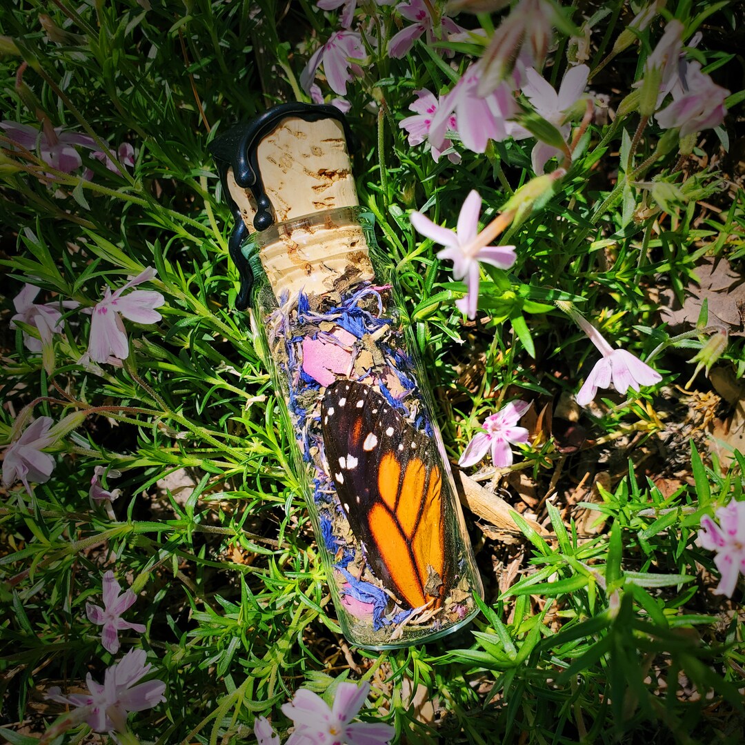 Metamorphosis Manifestation Spell Jar Shapeshifting Rebirth ...