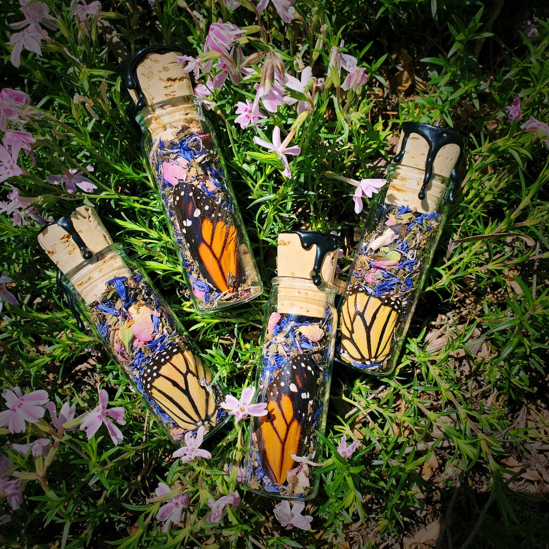 Metamorphosis Spell Jar – Butterfly Wing Witchcraft Charm for Spiritual ...