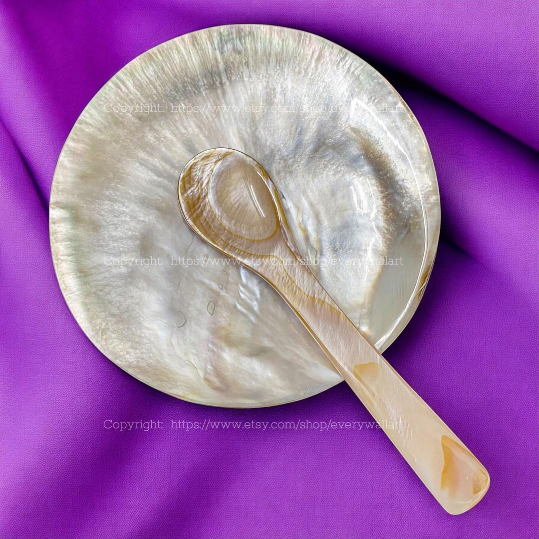 Set of Simple Black Mother-of-pearl Plate Seashell Plate Collectible ...