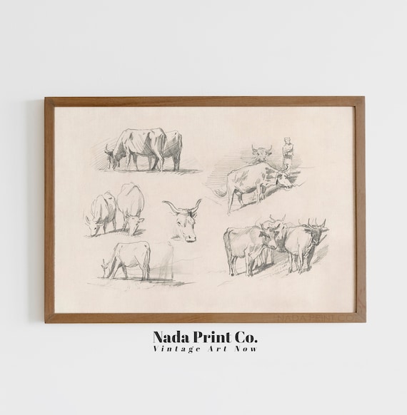 Cow Sketch Print Western Cattle Drawing Neutral Vintage - Etsy