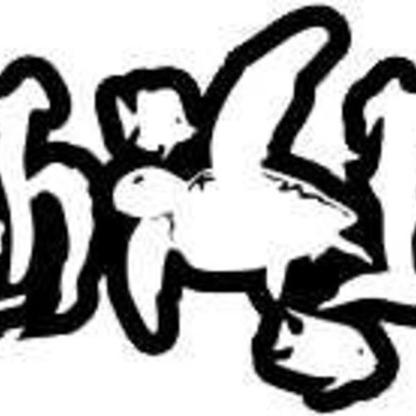 Conch Shell Art - Etsy