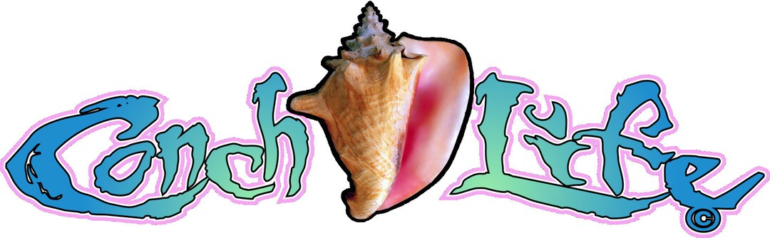 Conch Life Tropical Sea Shell Decal - Key West Fan Gift (5x14in) - Etsy