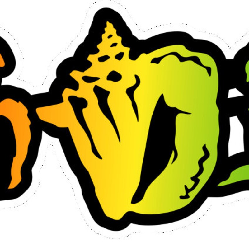 Conch Shell Art - Etsy