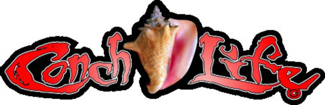 Conch Life Seashell Decal: Key West Island Life (5x14in) - Etsy