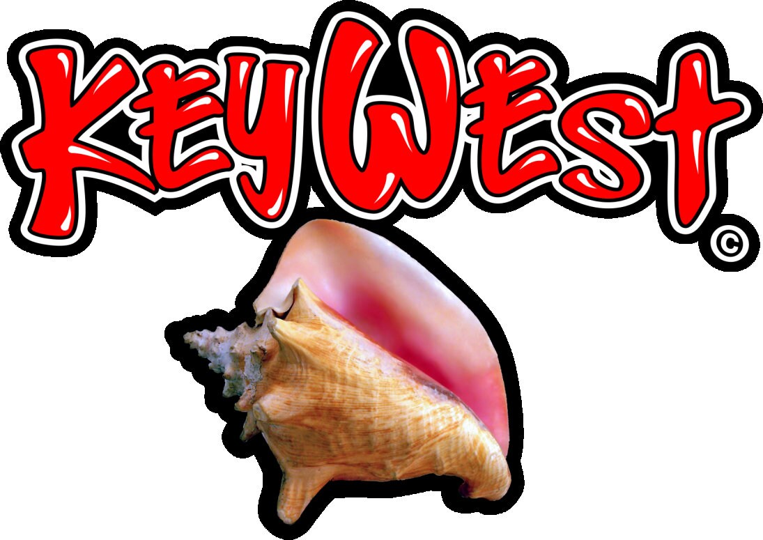 Keywest Conch Shell Color Decal Conch Life Sea Shell Decal Gift for ...