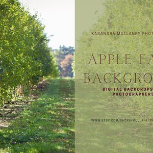 Apple Farm Digital Background for Photography Fall Backdrops Photoshop ...