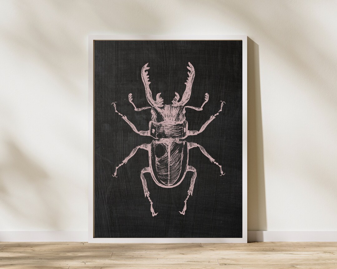 Entomology Wall Art- Stag Beetle Specimen Illustration Printable by ...