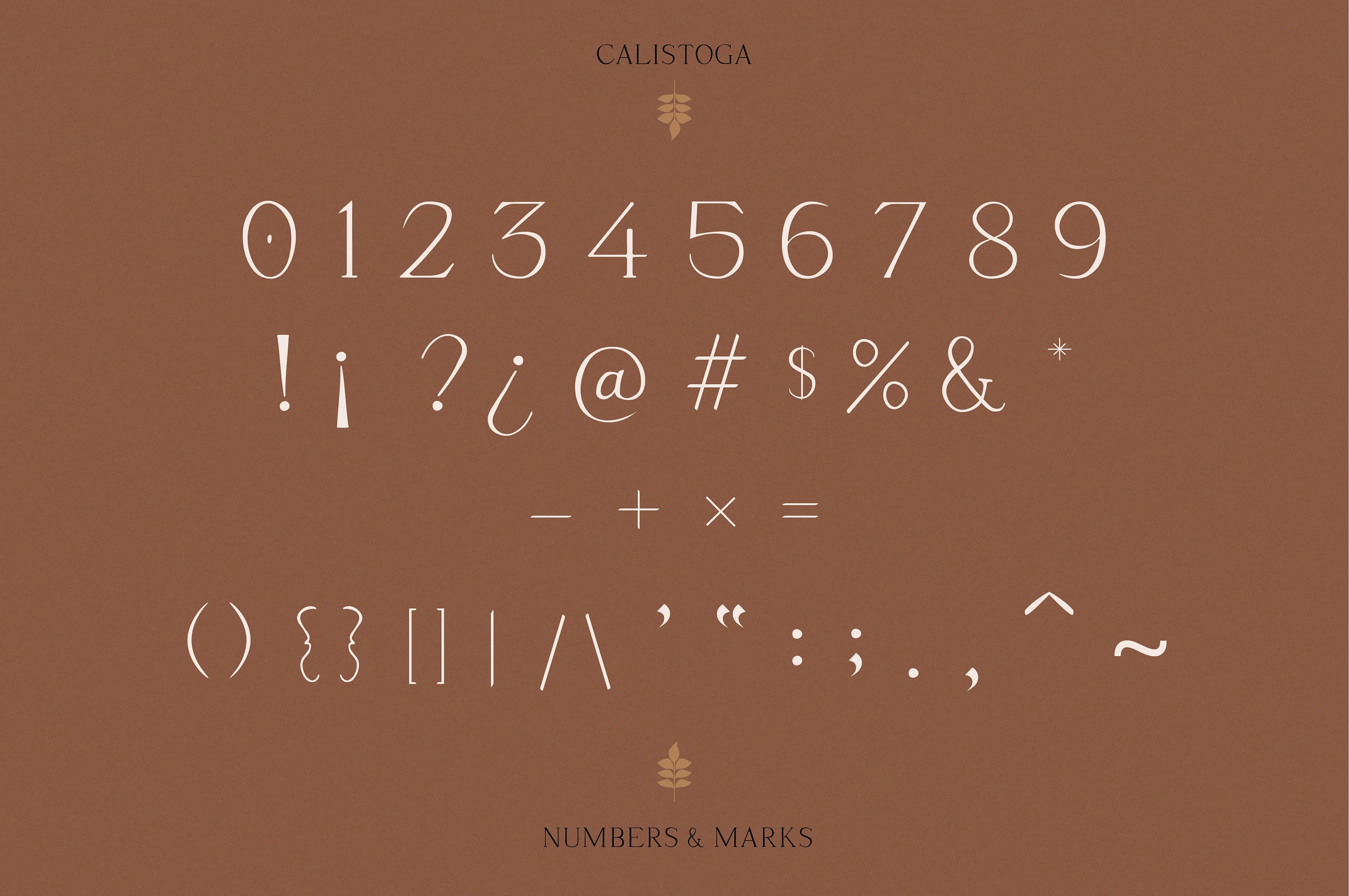 Modern Hand Drawn Serif Font Boho Wedding Font Boho Organic Serif Font ...