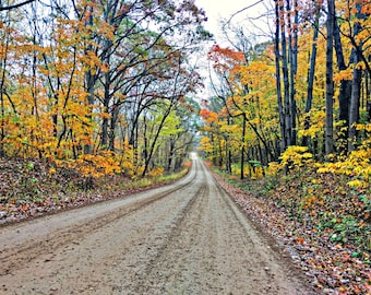 Fall Foliage and Dirt Road, Fall Scene Photo, Fall in New England, for ...
