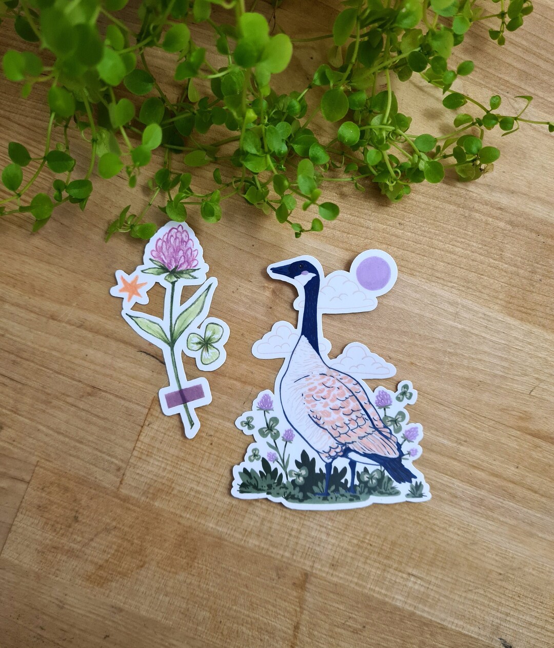 Cute Canadian Goose Illustrated Sticker Set, Matte Vinyl Art Stickers ...