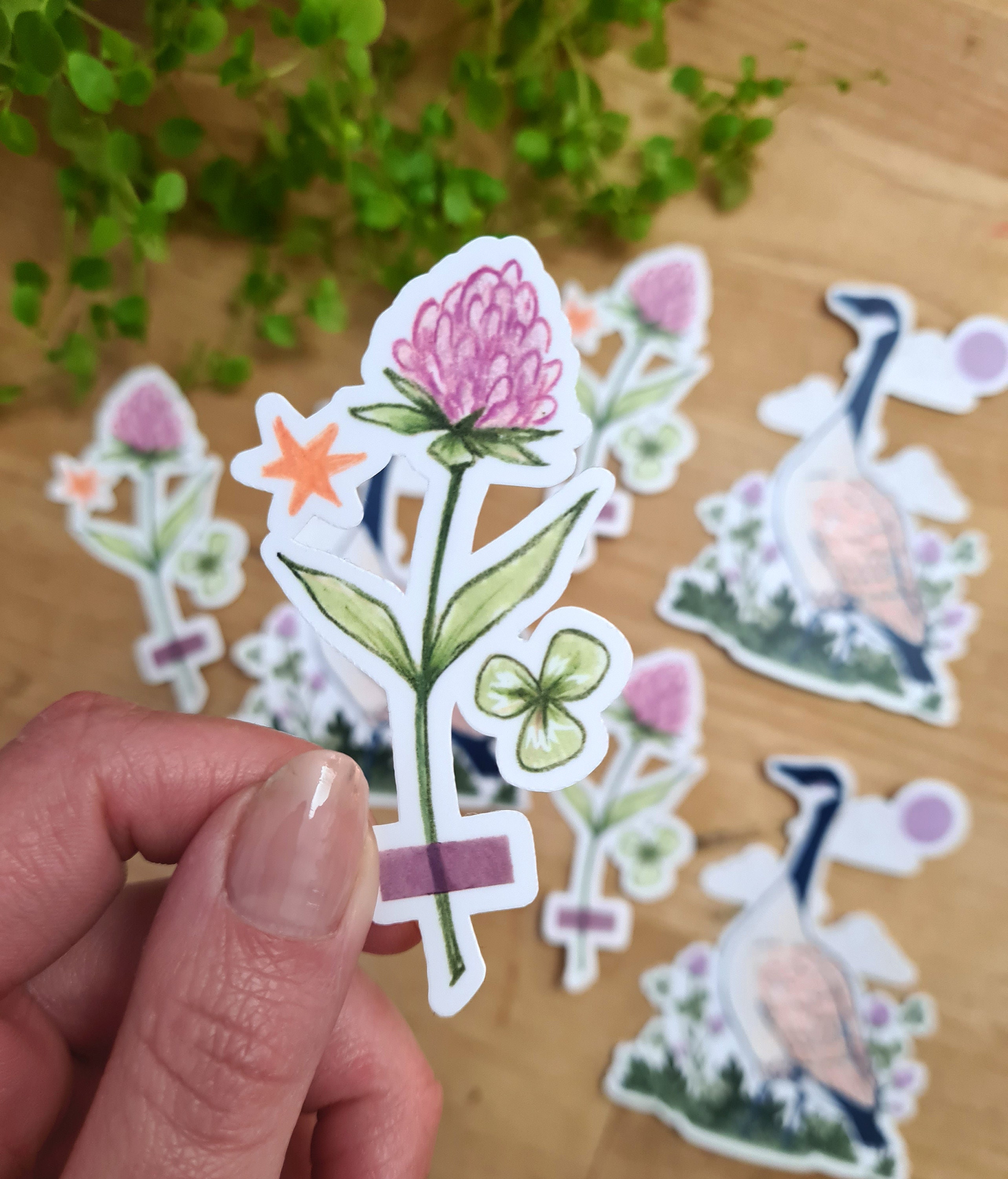 Cute Canadian Goose Illustrated Sticker Set Matte Vinyl Art - Etsy