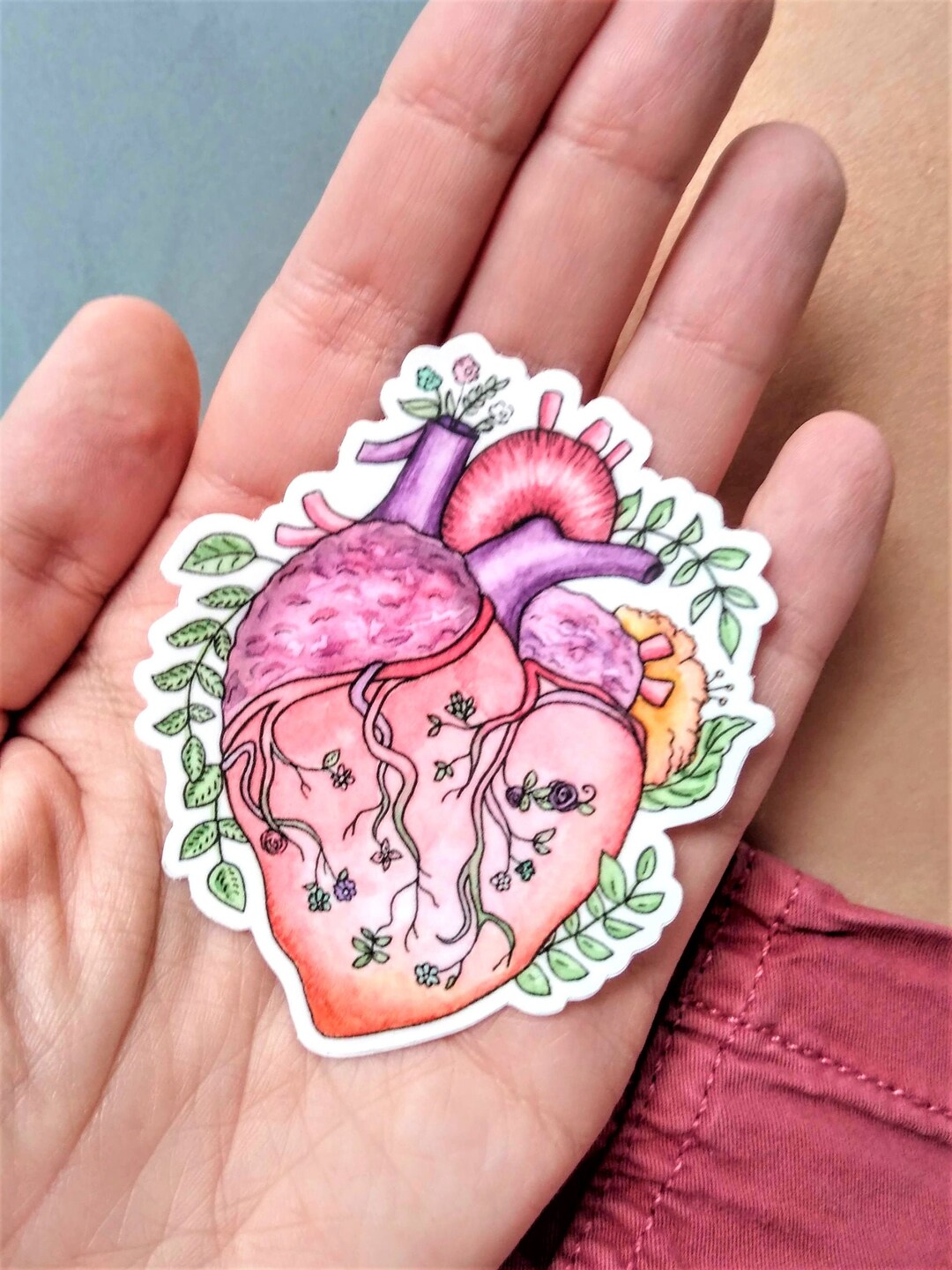 Floral Anatomical Heart Sticker Heart Transplant Sticker Human Heart ...