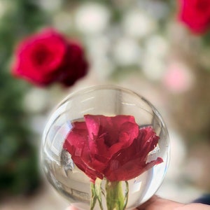 Real Red Rose Globe,forever Rose Crystals Keepsake,resin Paperweight ...