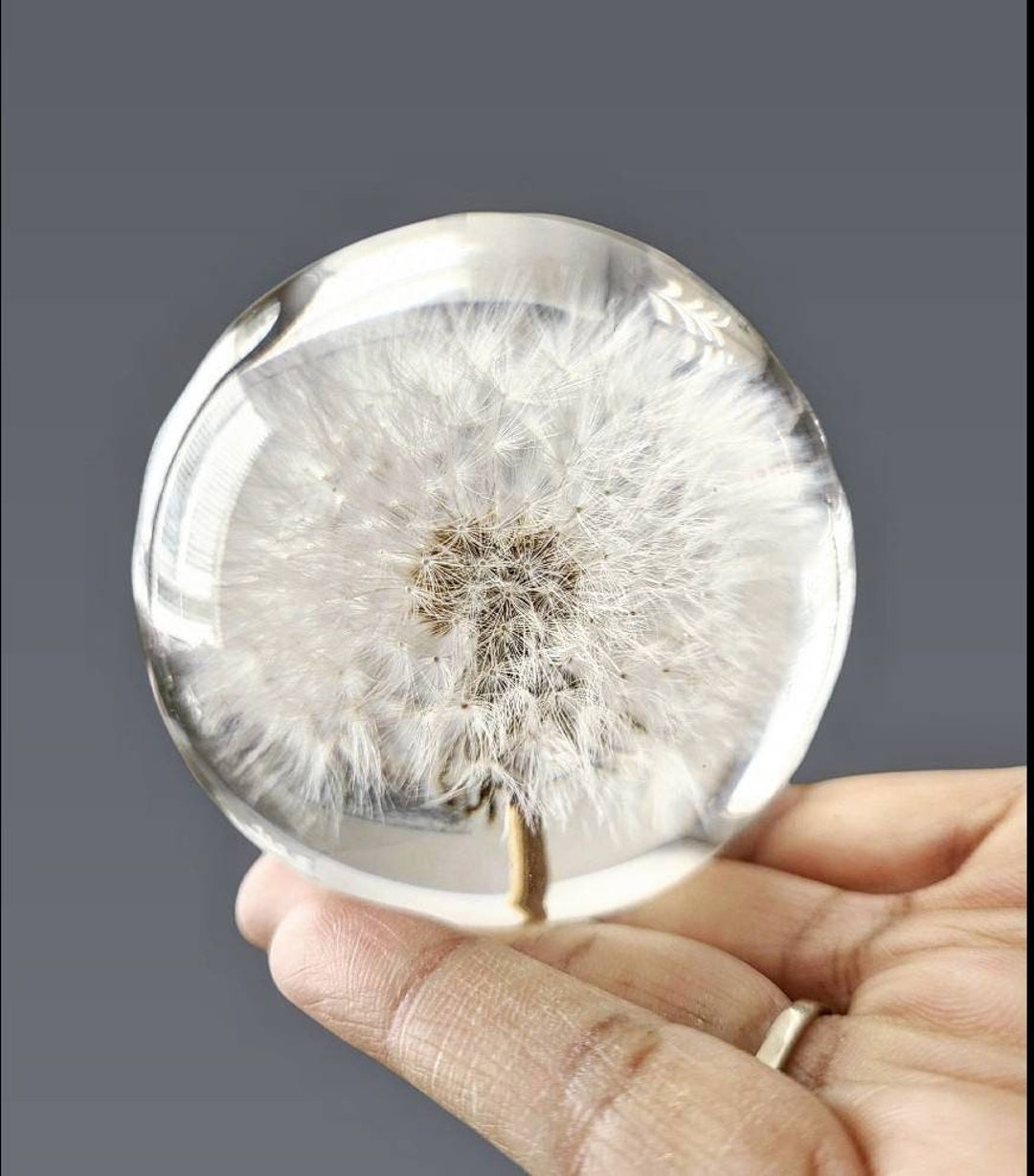 Dandelion Paperweight Cube, Dandelion Crystals Keepsake, Resin ...