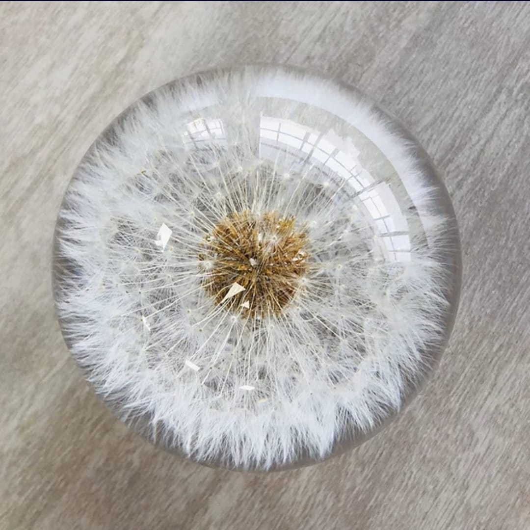 Dandelion, Dandelion Resin Paperweight,housewarming Gift,new Home Gift ...