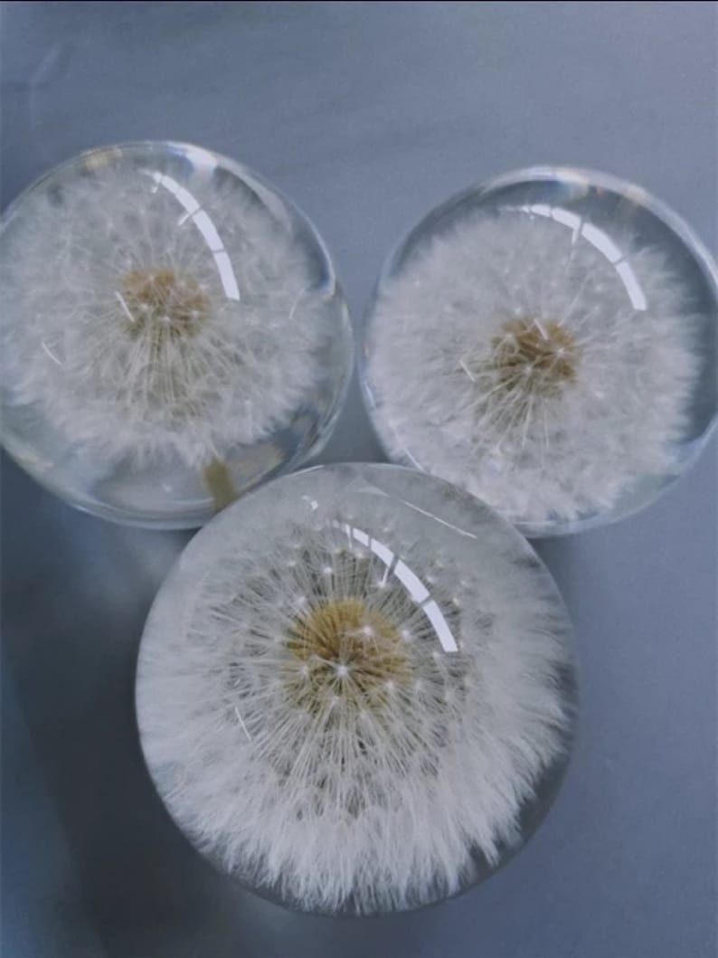 Dandelion, Dandelion Resin Paperweight,housewarming Gift,new Home Gift ...