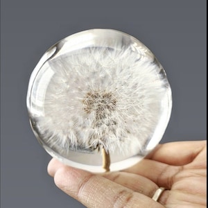 Dandelion, Dandelion Resin Paperweight,housewarming Gift,new Home Gift ...