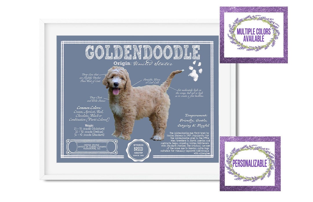 Goldendoodle: Antique Architecture Patent Drawing Style Print / Wall ...