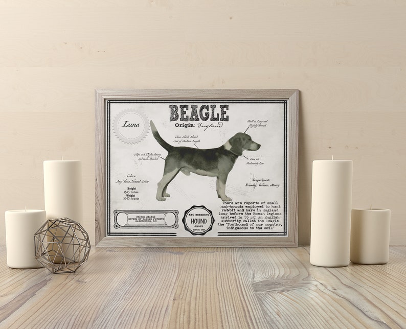 Beagle: Antique Architecture Patent Drawing Style Print / Wall Art ...