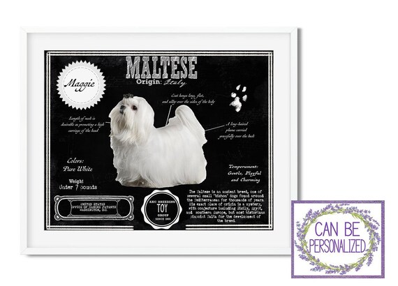 Malteser: Antike Architektur Zeichnung Stil Druck / Wandkunst | Etsy